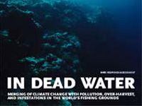 Arctic among global marine ecosystems threatened by climate change | WWF