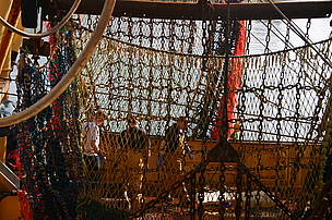 Cod recovery plan goes adrift | WWF