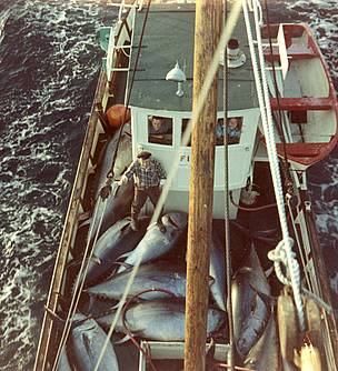 The Norwegian bluefin tuna collapse: a lesson from history | WWF