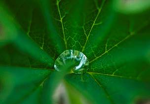 Green Stimulus Measures needed to Exit Crisis, warn leading ...