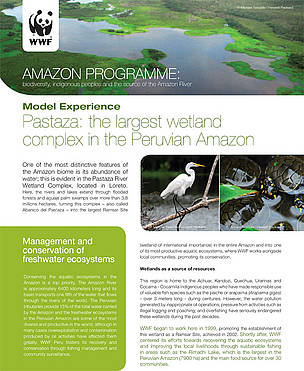 Pastaza: the largest wetland complex in the Peruvian Amazon | WWF