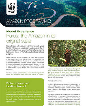 Purus: The Amazon in its original state | WWF