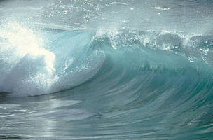 Protecting the high seas | WWF