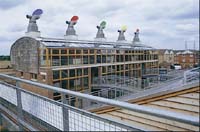 Building the future | WWF