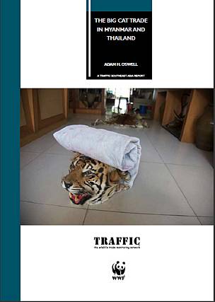 The Big Cat Trade in Myanmar and Thailand | WWF