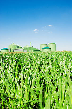 Forests & Energy | WWF