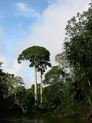 ABC del Conversatorio de Urabá | WWF