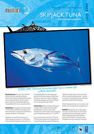 Tuna Factsheets | WWF
