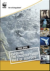 Fish Dish - exposing the unacceptable face of seafood | WWF