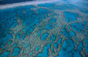 Switching to renewable energy will help stop Great Barrier Reef ...