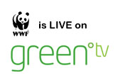 WWF TV Channel launched | WWF