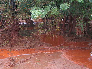 Toxic plume reaches Danube, raises questions about safety in multitude ...
