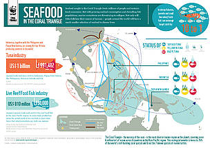 INFOGRAPHIC: Seafood in the Coral Triangle | WWF