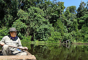 Protecting the Amazon | WWF