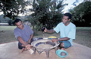 Community forestry on Fiji saves native tree species | WWF