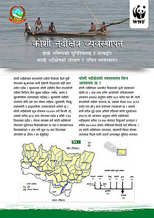 Koshi Flyer | WWF