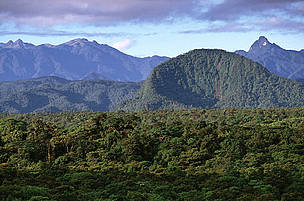 Reserva Natural La Planada vuelve a la comunidad indígena Awa | WWF