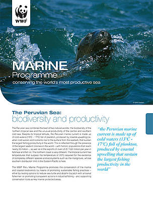 Marine Programme: conserving the world's most productive sea | WWF