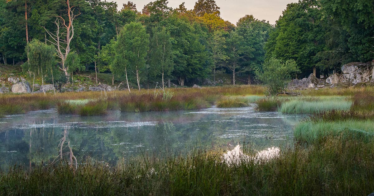 Rayo de esperanza para los sitios Ramsar: finalmente, los grandes ...