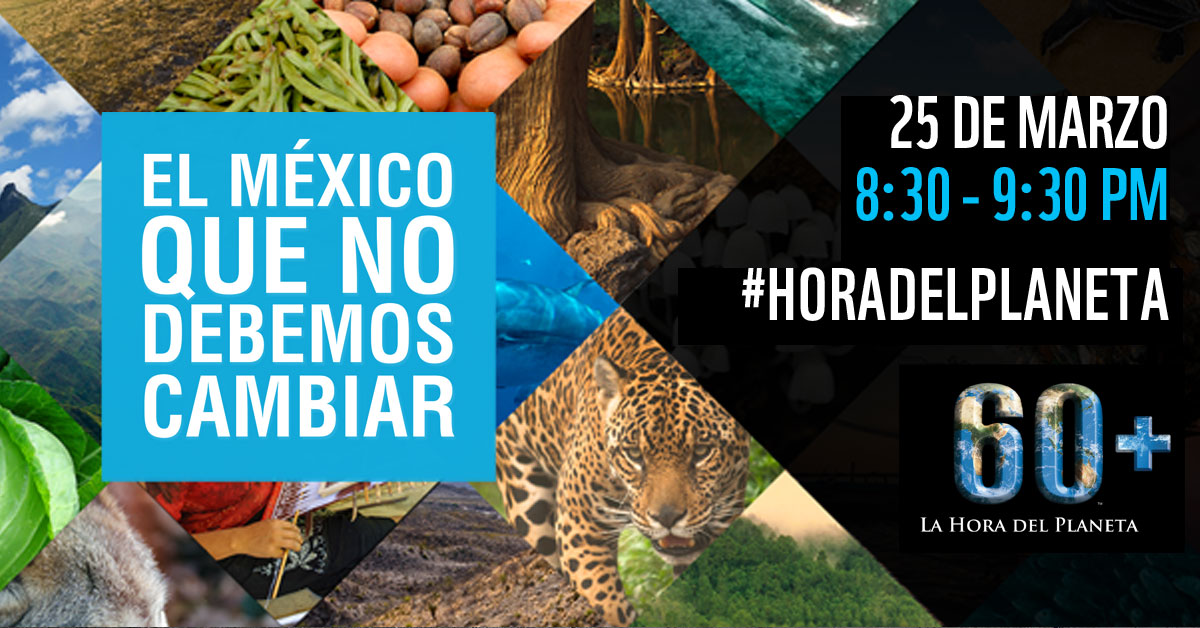 La Hora del Planeta se celebrará el próximo 25 de marzo bajo el ...