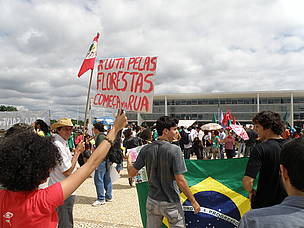 Brazil's new Forest Code: urgency aproved. Senate vote on Tuesday | WWF