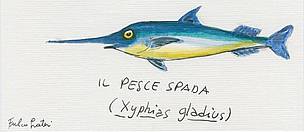 Mediterranean swordfish under fire? | WWF