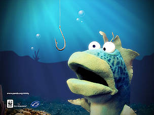 The stinky fish of poor fishing practice | WWF