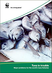 Tuna in Trouble: Major Problems for the World’s Tuna Fisheries | WWF