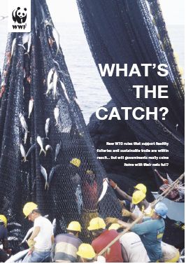 What's the catch? | WWF